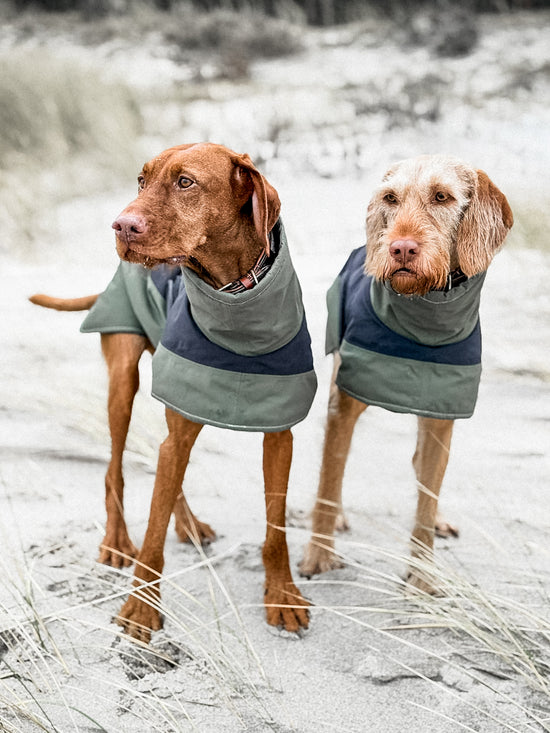 SCADI • LIVING WITH DOGS