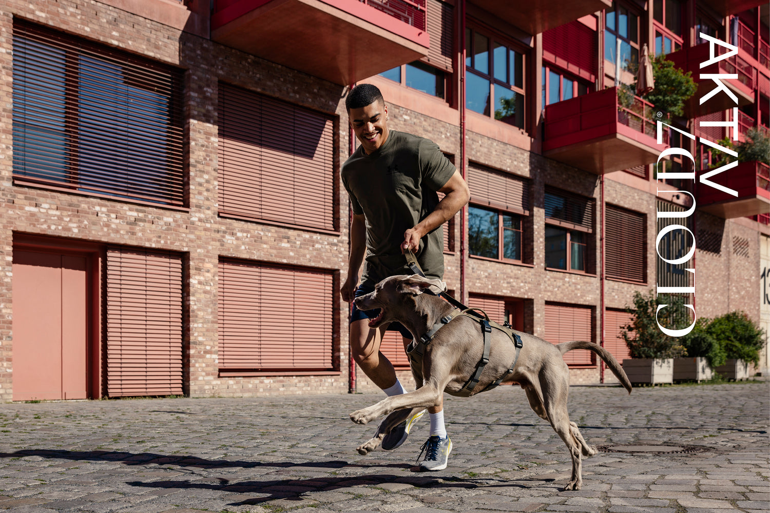 SCADI • LIVING WITH DOGS