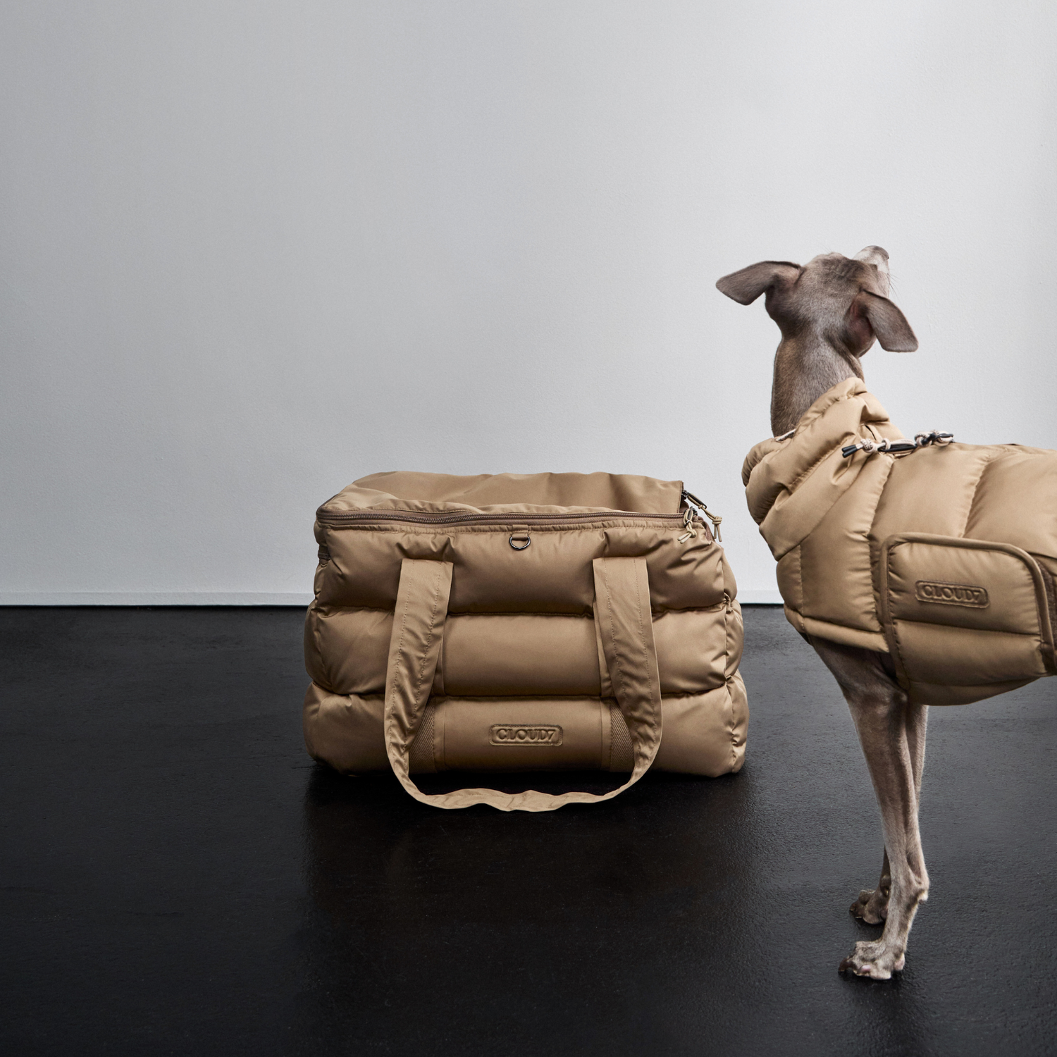 SCADI • LIVING WITH DOGS