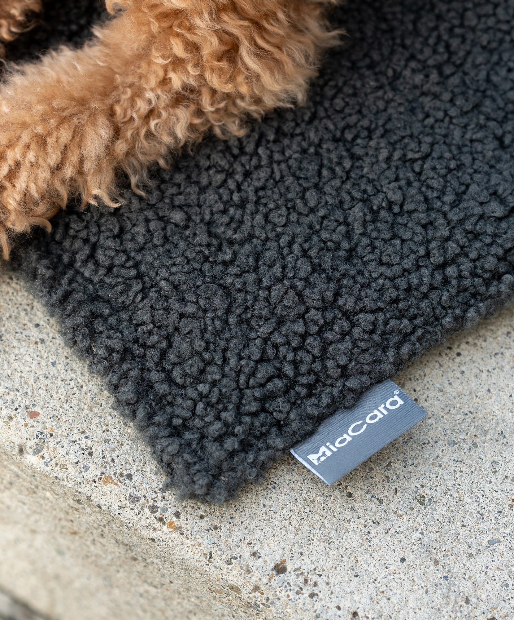 SCADI • LIVING WITH DOGS