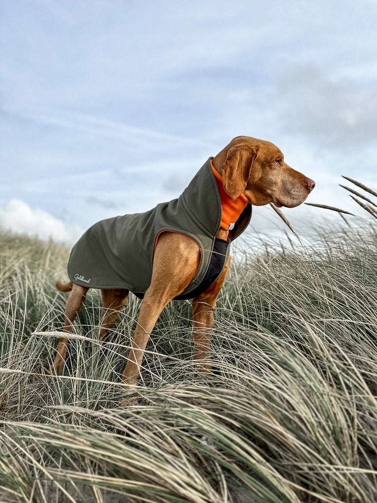 SCADI • LIVING WITH DOGS