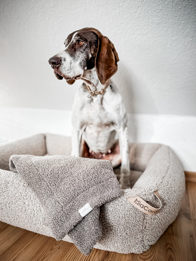 SCADI • LIVING WITH DOGS