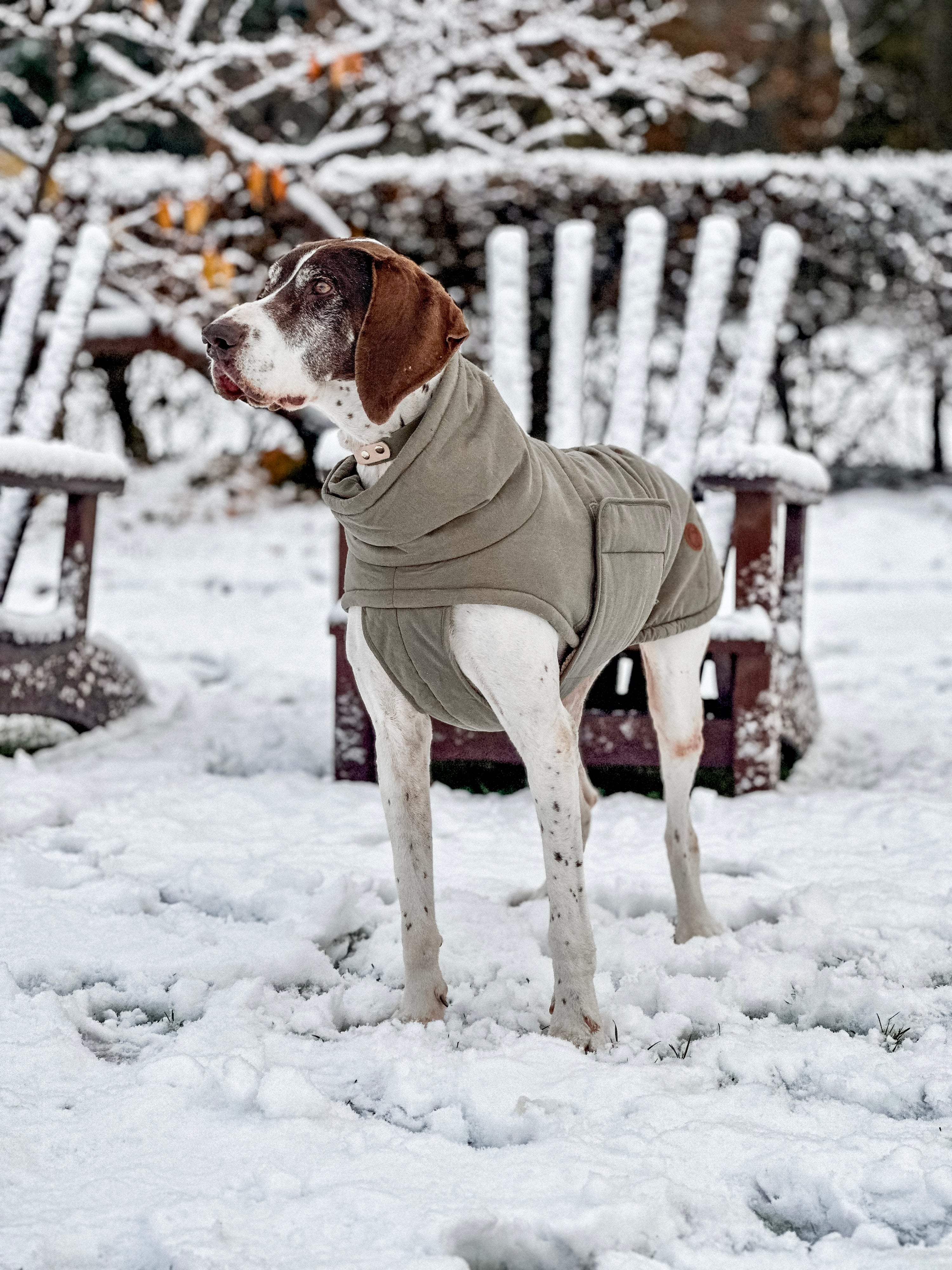 SCADI • LIVING WITH DOGS